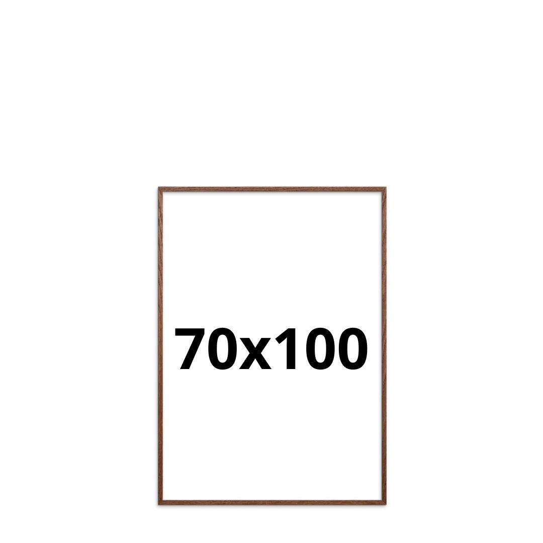 Tilbud på Plakater 70x100 cm | Billige priser