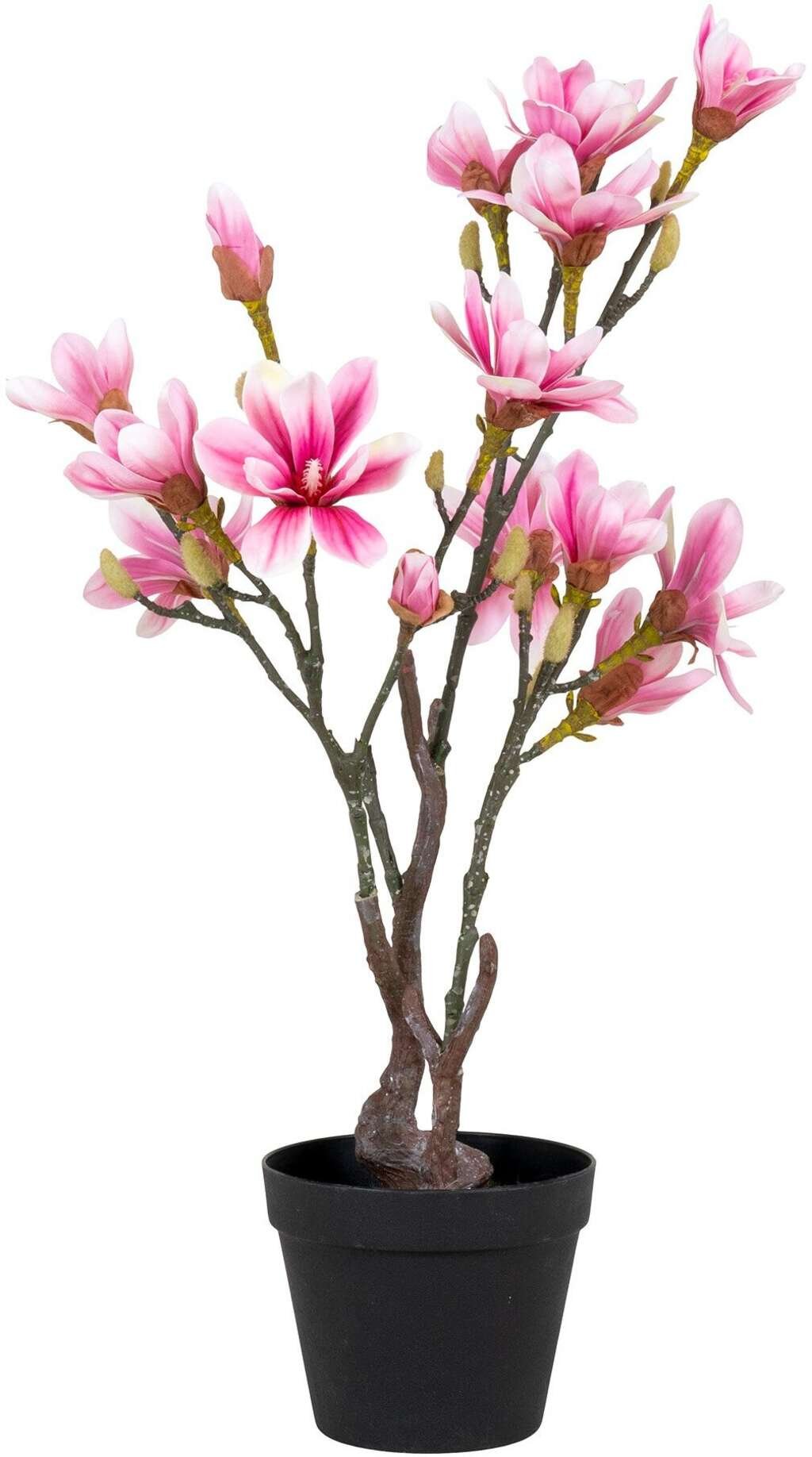 Køb House Nordic Kunstigt Magnoliatræ H75 cm