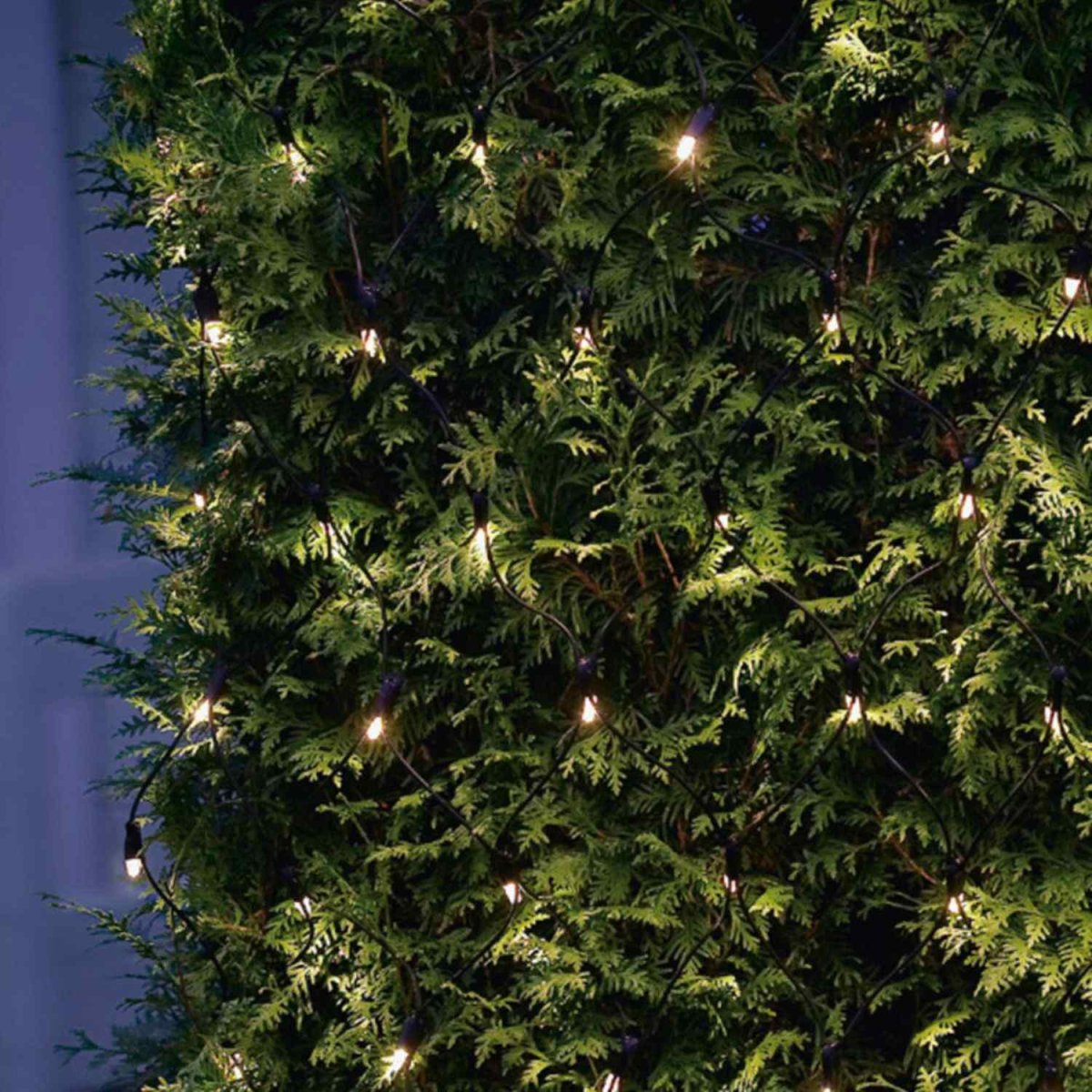 Sirius Tech Line Lysnet Startsæt 1,2x1,2 m, Sort Ledning - Julelyskæder ...